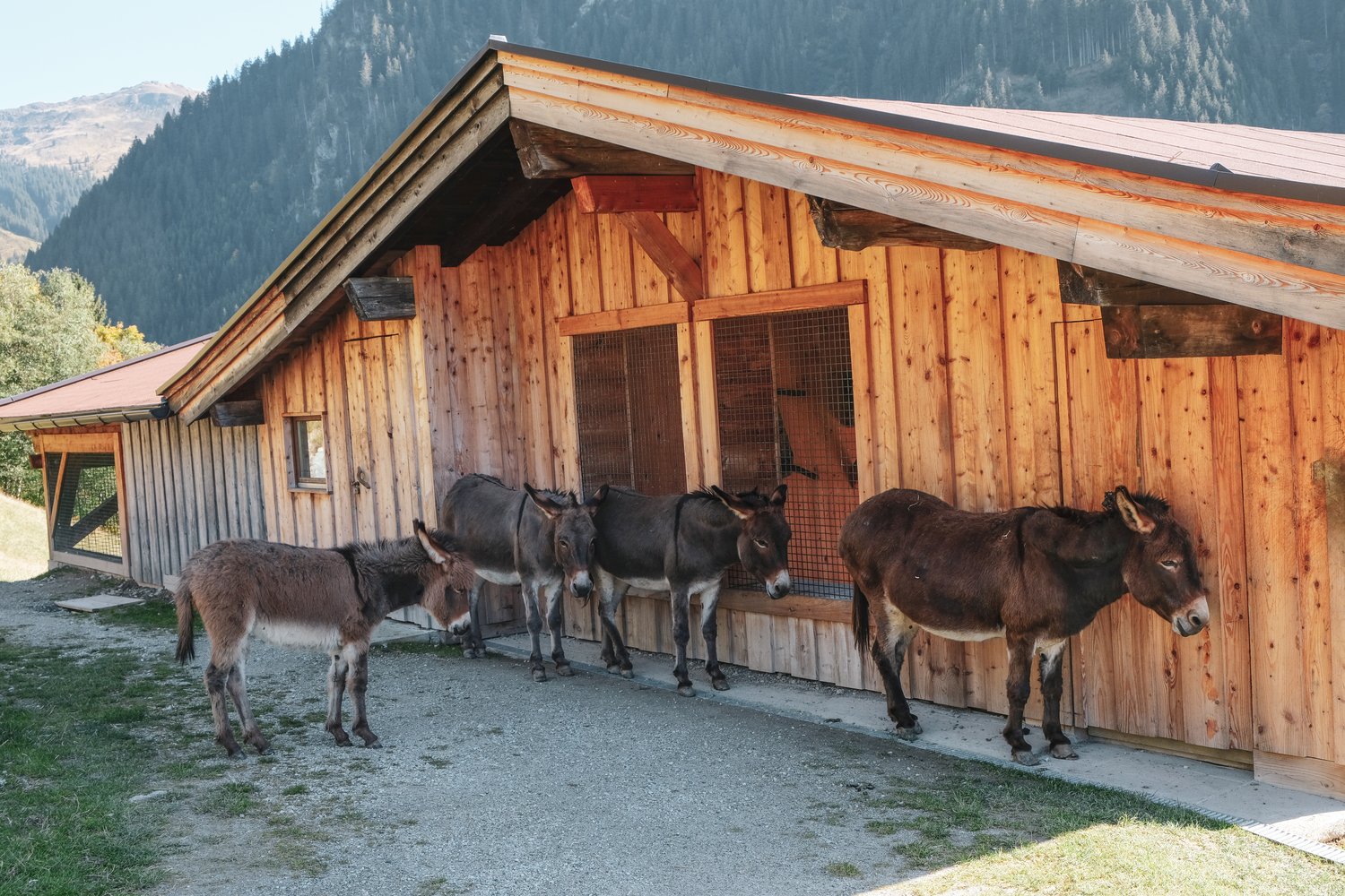 #LocalHeroes | Der Wildpark Aurach